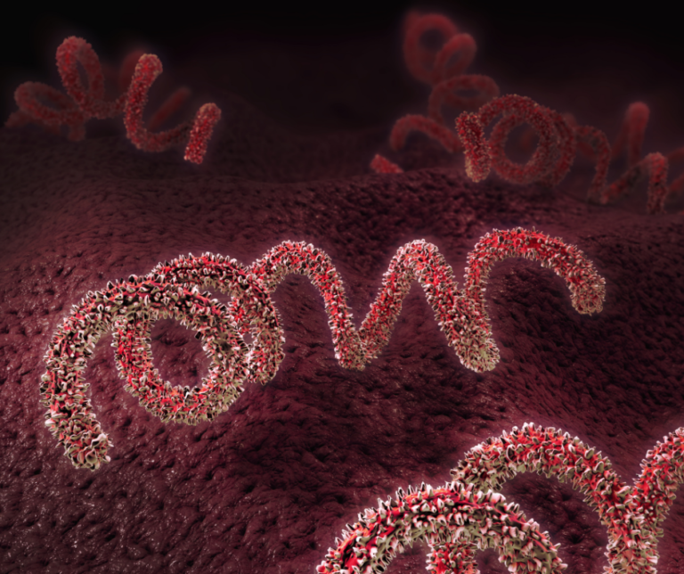 Syphilis | Testing for silent infections - Biorex Diagnostics - Primary ...