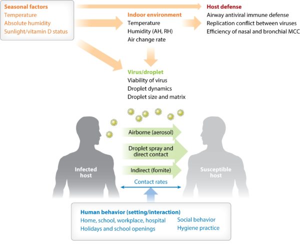 Respiratory Tract Infections - Biorex Diagnostics - Primary Diagnostics ...