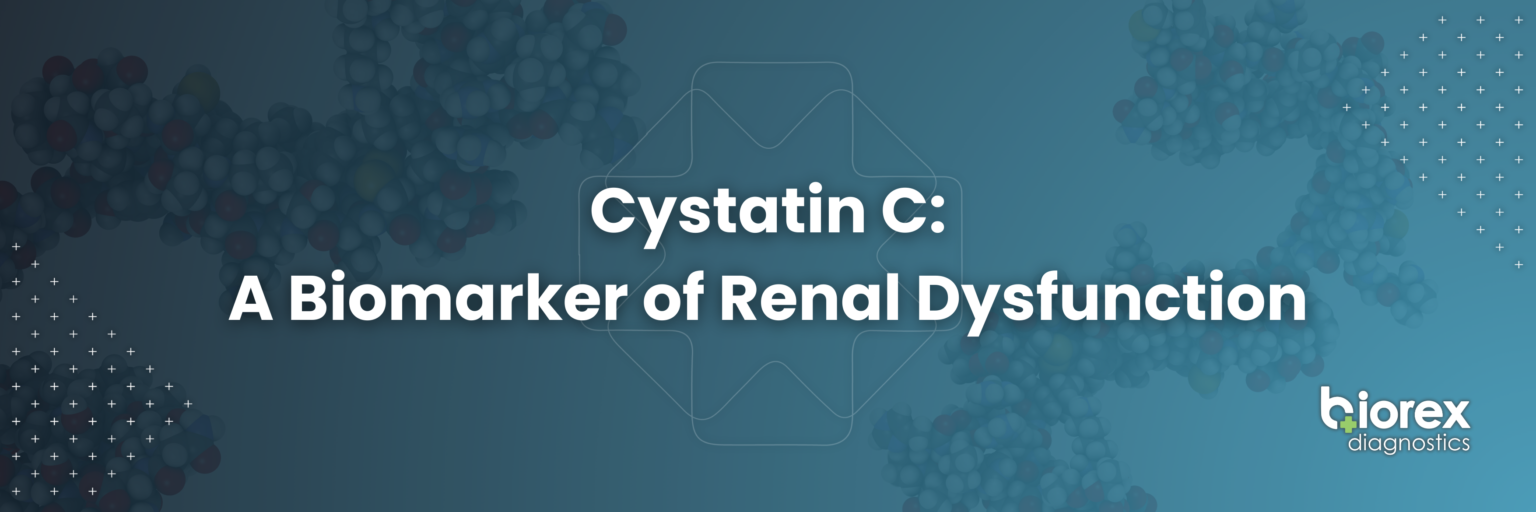 Cystatin C: A Biomarker of Renal Dysfunction - Biorex Diagnostics ...