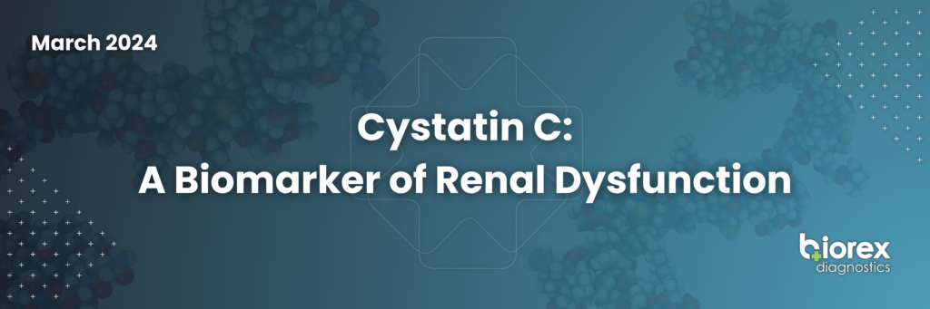 Cystatin C: A Biomarker of Renal Dysfunction - Biorex Diagnostics ...