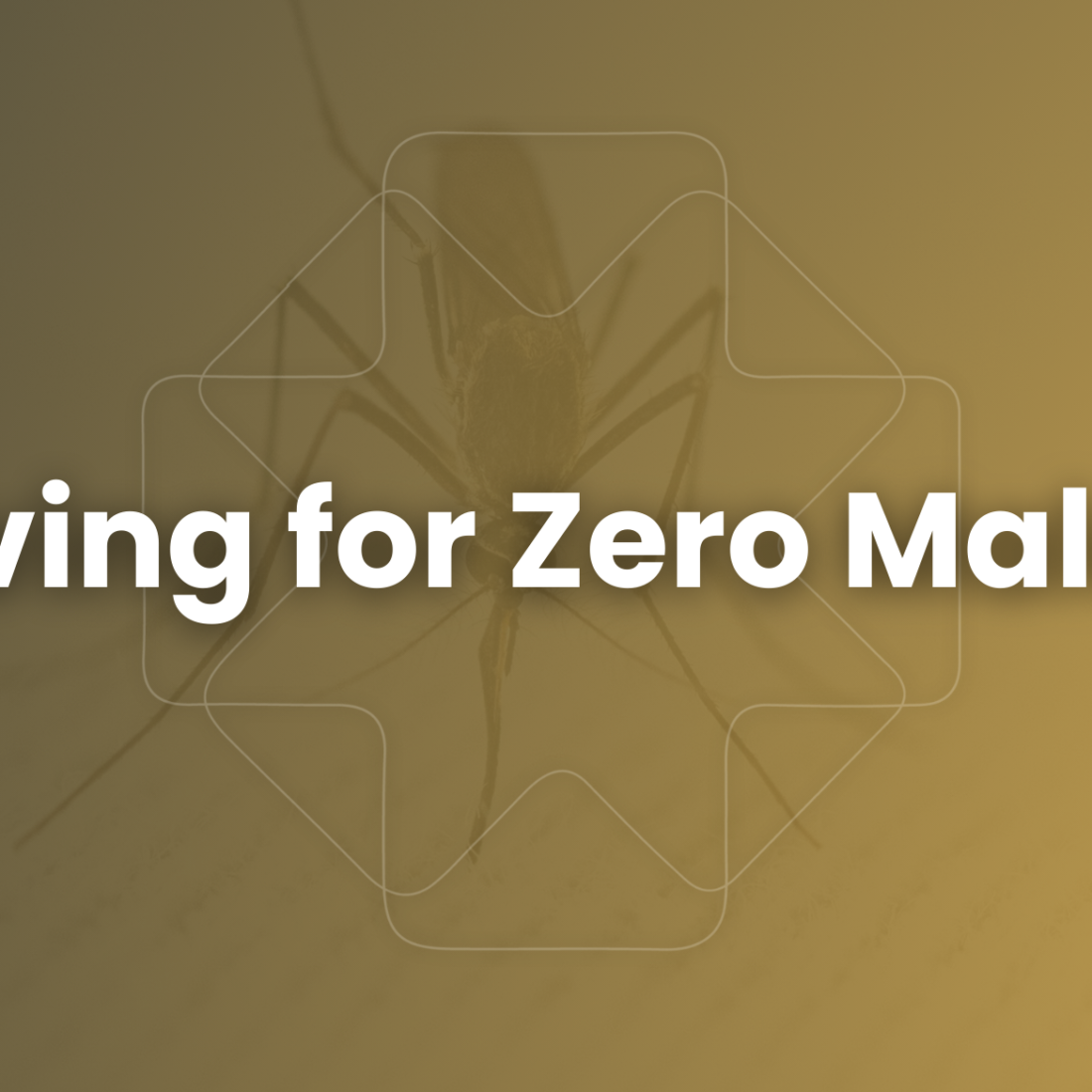 Striving for Zero Malaria - Biorex Diagnostics - Primary Diagnostics ...